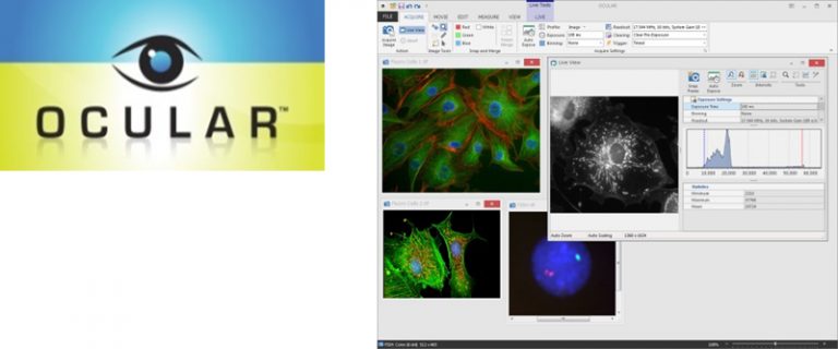電気生理学向け高感度CCDカメラ（Retiga ELECTRO） ｜ ショーシンEM株式会社